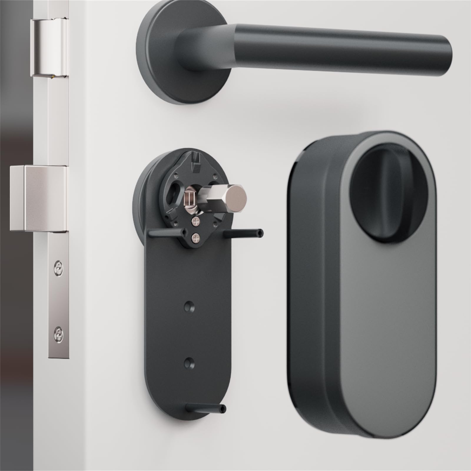 View All – Modo Store
